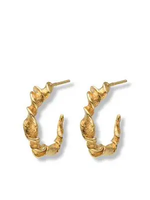 EVA REMENYI Twisted Hoop Earrings - Gold