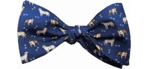 LAZYJACK PRESS Hair Of The Dog Bow Tie - Blue
