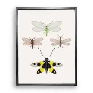 EMILY CARTER Gold / Yellow British Lacewings Fine Art Print S - Gold/yellow