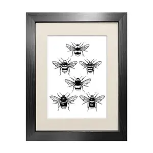 EMILY CARTER British Bees' Fine Art Print A5 - Black