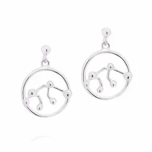 YASMIN EVERLEY JEWELLERY Aquarius Astrology Drop Stud Earrings - Silver