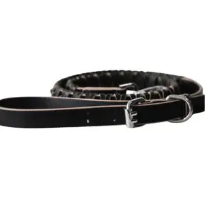THEANIMALS Leather Dog Lead