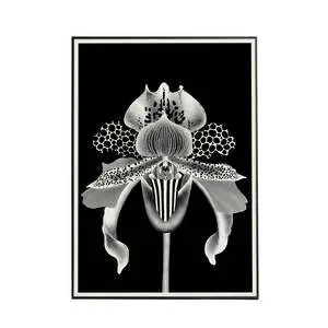 ABI OVERLAND JERSEY Neutrals Orchidia L - Black