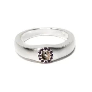 NASI SILVER Rebirth Ring With Amethyst And Silver - Gray