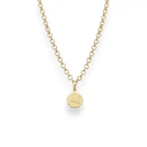 ALEXIE OF ATHENS Leo Zodiac Medallion Chain Necklace - Gold
