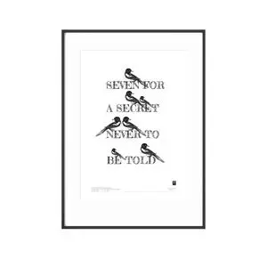 Curiosity Snug The Curious Magpie Series Seven For A Secret Never To Be Told - Black