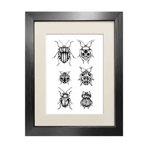 EMILY CARTER British Beetles' Fine Art Print A3 - Black