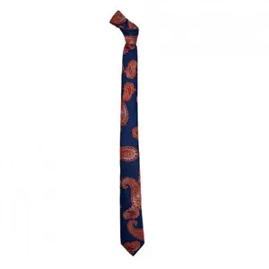 DAVID WEJ Textured Paisley Neck Tie - Blue/orange