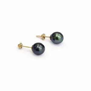 PEARL CODE Freshwater Pearl Stud Earrings In Gold