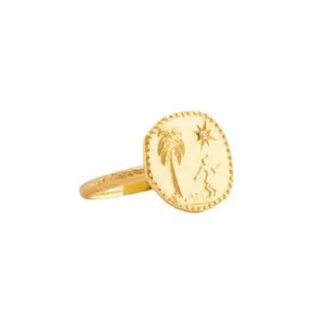 RIZE Voyager Palm Ring Gold/white