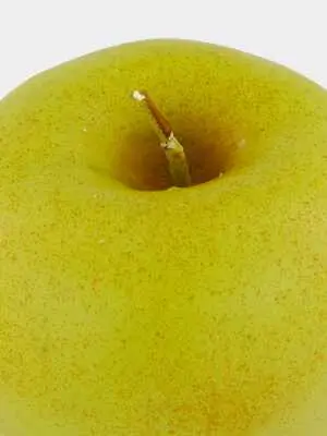 CERERIA INTRONA Apple Wax Candle