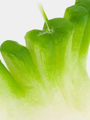 CERERIA INTRONA Fennel Wax Candle