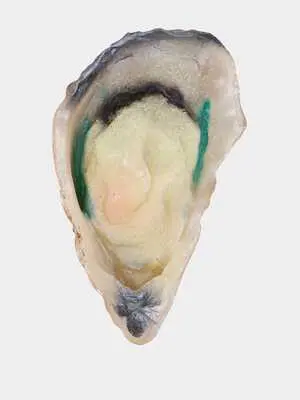 CERERIA INTRONA Oyster Wax Candle