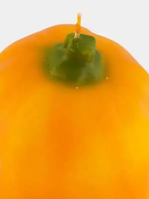 CERERIA INTRONA Standing Pumpkin Wax Candle