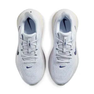 Nike Winflo Road Running Shoes - Grey