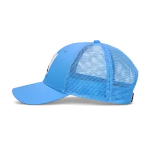 JORDAN Rise Structured Baseball Hat - Blue