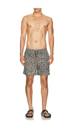 ALLSAINTS Silesia Swimshort - Clouded Grey