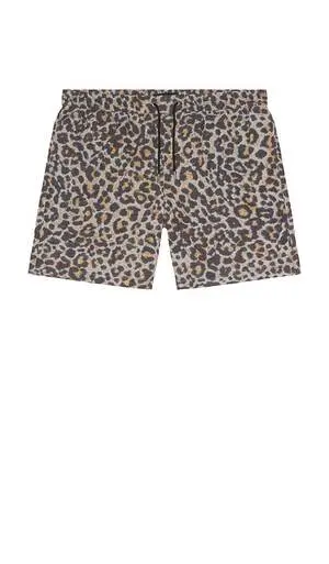 ALLSAINTS Silesia Swimshort - Clouded Grey