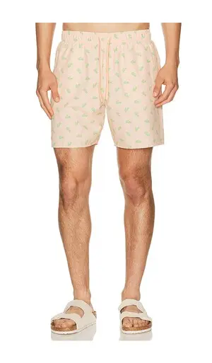 Lacoste Swim Short - Angie