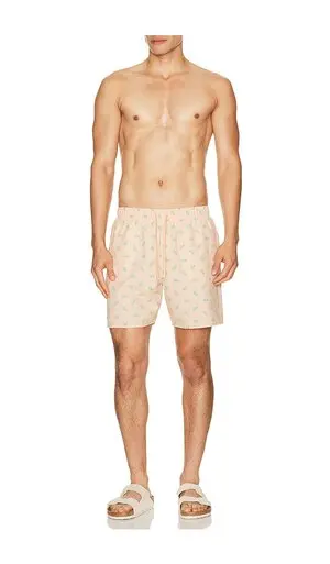 Lacoste Swim Short - Angie