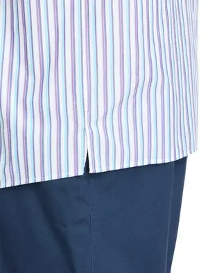 HARBOR BAY BY DXL Big & Tall Easy-care Striped Sport Shirt V2 - Multi