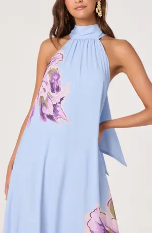 Astr The Label Nesta Floral Print Halter Dress
