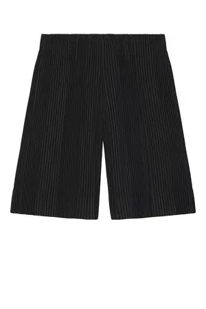 Issey Miyake Tailored Pleats Pants