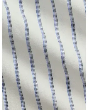 Polo Ralph Lauren Classic Fit Stripe Oxford Shirt - White/blue