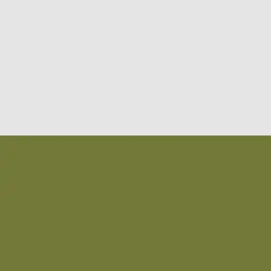 SUMMERILL & BISHOP Linen Stripe Napkin - Green