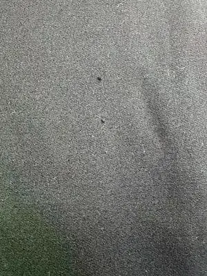 Burberry Tailored Trousers