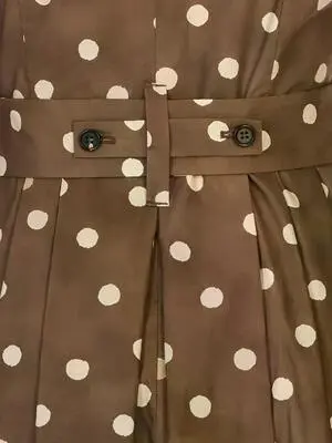 Max Mara Polka-dot Belted Dress