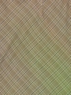 Soeur Irving Check-pattern Blouse