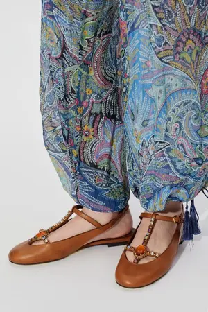 Etro Leather Ballerinas With Appliqués - Brown
