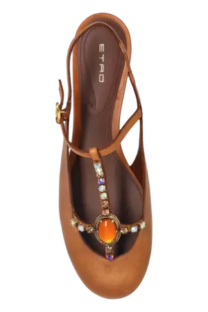 Etro Leather Ballerinas With Appliqués - Brown
