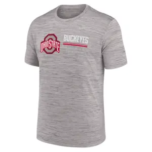 Nike Ohio State Sideline Velocity Dri-fit College T-shirt - Grey