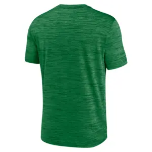Nike Oregon Sideline Velocity Dri-fit College T-shirt - Green