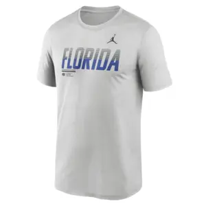 JORDAN Brand Dri-fit Florida Sideline Legend College T-shirt - Grey