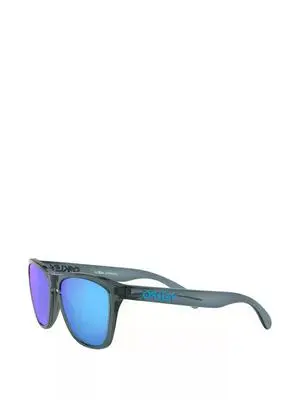 Oakley Frogskins Sunglasses