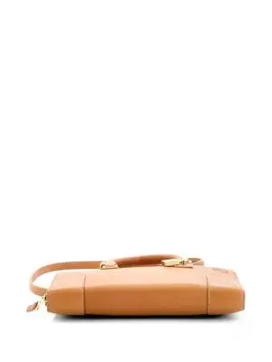 Loewe Amazona Leather Crossbody Bag - Brown