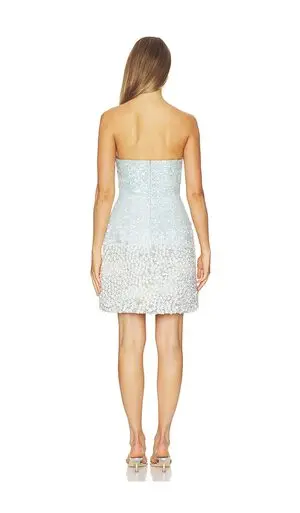 LA FUORI Mystical Garden Embroidered Dress