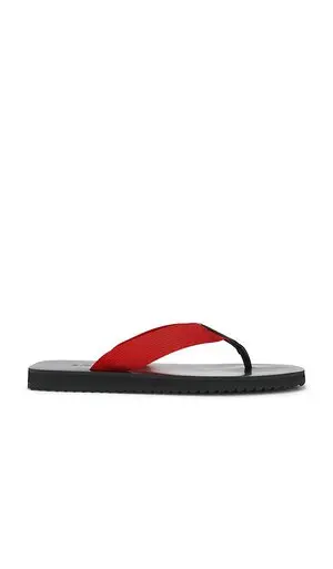 Senso Flip Flop Sandals For Women