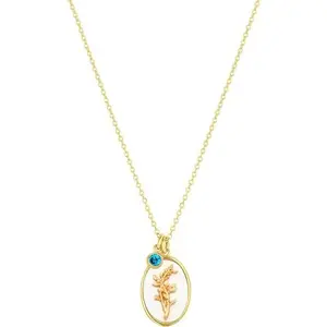 SET & STONES Katrina Birth Flower And Birthstone Charm Necklace Gold/december