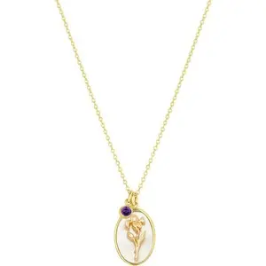 SET & STONES Katrina Birth Flower And Birthstone Charm Necklace - Gold/february