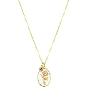 SET & STONES Katrina Birth Flower And Birthstone Charm Necklace - Gold/june