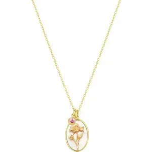 SET & STONES Katrina Birth Flower And Birthstone Charm Necklace Gold/october
