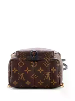 LOUIS VUITTON Palm Springs Monogram Canvas Mini Backpack - Brown