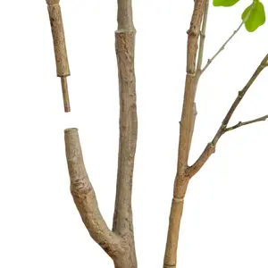 NEARLY NATURAL Artificial Dogwood Tree, 5