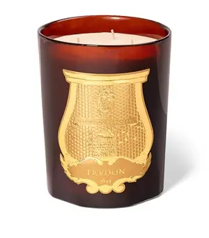 TRUDON Cire Candle - Brown