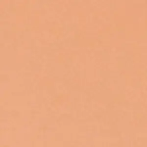 LANCOME Teint Idole Care & Glow Serum Concealer - Neutral