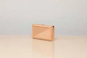 Gabriela Hearst Callas Clutch In Snakeskin And Nappa Leather - Nude